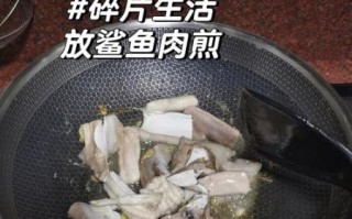 鲨鱼肉怎么做好吃_鲨鱼肉的家常做法