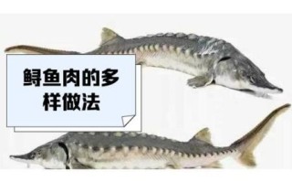 鲟龙鱼和中华鲟的区别_中华鲟是鲟龙鱼吗