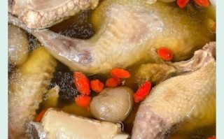 乳鸽汤怎么炖_乳鸽汤炖多久才最营养