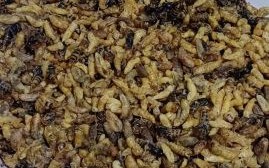 蜂蛹怎么做好吃_蜂蛹的家常做法大全