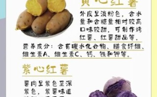 最甜红薯品种排名_哪个品种最好吃