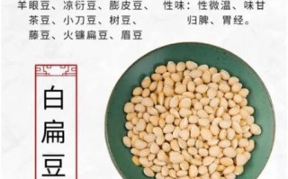 炒白扁豆的功效与禁忌_哪些人不能吃