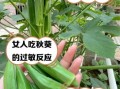 女性为什么不能吃秋葵_秋葵对女性的危害