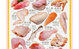 鸡肉辅食怎么做_宝宝第一次吃鸡选哪部位