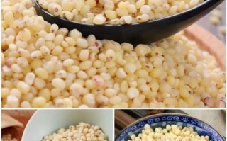 高粱米怎么做好吃_高粱米的家常做法大全
