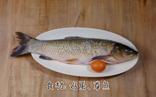 炸鱼块怎么做才外酥里嫩_炸鱼块用什么鱼最好吃