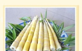 竹笋冷冻保存要焯水吗_焯水后冷冻能放多久