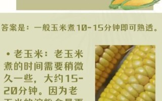 玉米熟没熟怎么看_玉米煮多久才熟