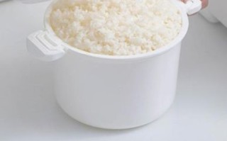 微波炉蒸菜要多久_微波炉蒸菜用什么容器