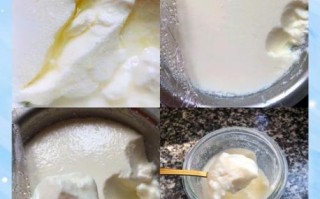 酸奶怎么在家做_自制酸奶需要哪些材料