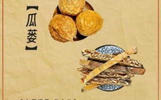 瓜蒌花有什么功效_瓜蒌花怎么泡水喝