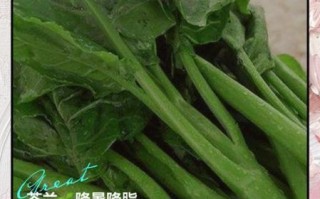 芥兰笋的功效与作用_芥兰笋怎么吃最营养