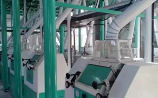 全自动粉条加工设备多少钱一套_全自动粉条加工设备哪家好