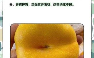 黄油桃的营养价值_黄油桃热量高吗