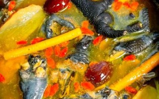 红烧乌鸡怎么做_红烧乌鸡的家常做法