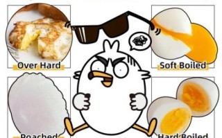 鸡蛋英语怎么读_egg发音技巧