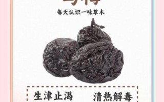 乌梅果的功效与作用_乌梅果怎么吃最好