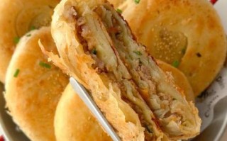 香酥肉饼怎么做_香酥肉饼用什么肉