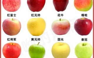 苹果图片真实照片_如何辨别原图