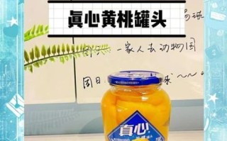 黄桃罐头哪个牌子最好吃_黄桃罐头推荐品牌