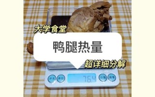 鸭腿肉热量是多少_减肥能吃吗