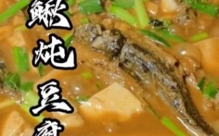 泥鳅豆腐汤怎么做_泥鳅豆腐汤的做法窍门