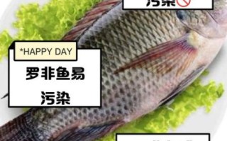 为什么不建议吃罗非鱼_罗非鱼健康风险