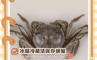 河蟹怎么保存才新鲜_活蟹冷藏能放几天