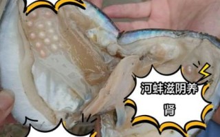 河里的河蚌怎么做好吃_河蚌清洗去腥技巧