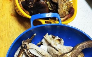 鸡枞菌怎么做好吃_鸡枞菌做法大全