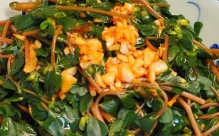 马苋菜怎么做好吃_马苋菜的家常做法