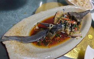 鲟鱼吃什么食物_用什么钓鲟鱼最好