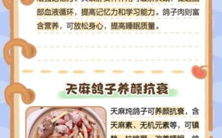 天麻炖鸽子怎么炖效果最好_天麻炖鸽子功效与禁忌