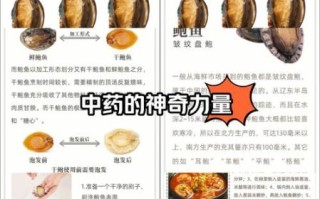 鲍鱼的功效与禁忌_全身都能吃吗