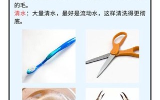 螃蟹怎么洗干净_螃蟹去内脏视频教程