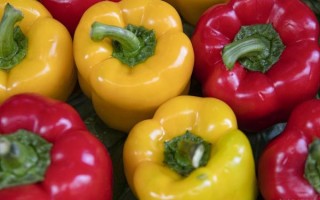 彩椒辣吗_彩椒和辣椒区别