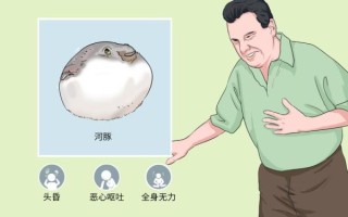 河豚毒素中毒症状_河豚毒素解毒方法