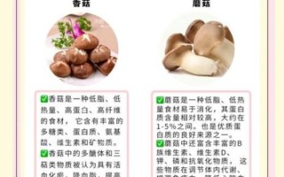 菌类有哪些营养价值_菌类怎么挑选和保存
