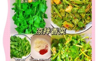 香菜怎么做好吃_香菜有哪些吃法