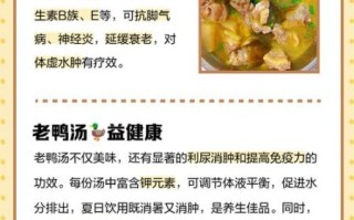 鸭子汤的功效与作用_哪些人不能喝