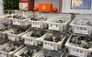 咸菜加盟的利润怎么样_开店真实收益分析