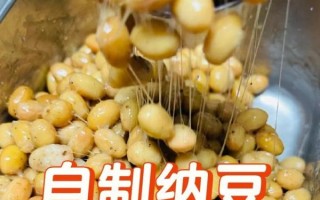 做酱豆的做法和配方_酱豆怎么做好吃又香