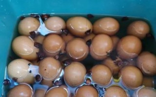腌鸡蛋的腌制方法_腌鸡蛋用什么调料