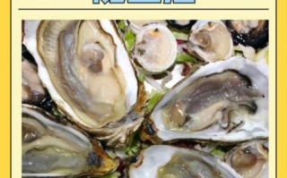 牡蛎的功效与作用_牡蛎主治什么病