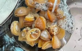 干鲍鱼怎么泡发_干鲍鱼家常做法