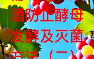 自酿葡萄酒如何杀菌_自酿葡萄酒杀菌用什么方法