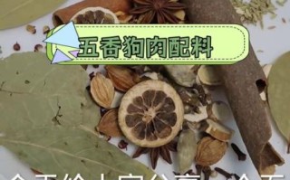 煮狗肉放什么调料好吃_狗肉去腥增香技巧