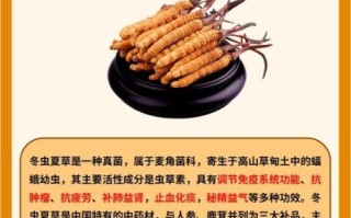 虫草有什么功效_虫草适合什么人吃