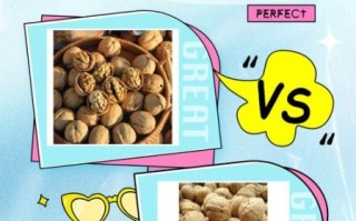 薄皮核桃和厚皮核桃哪个好_营养价值与口感对比