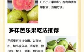 芭乐果怎么吃_芭乐果的正确吃法